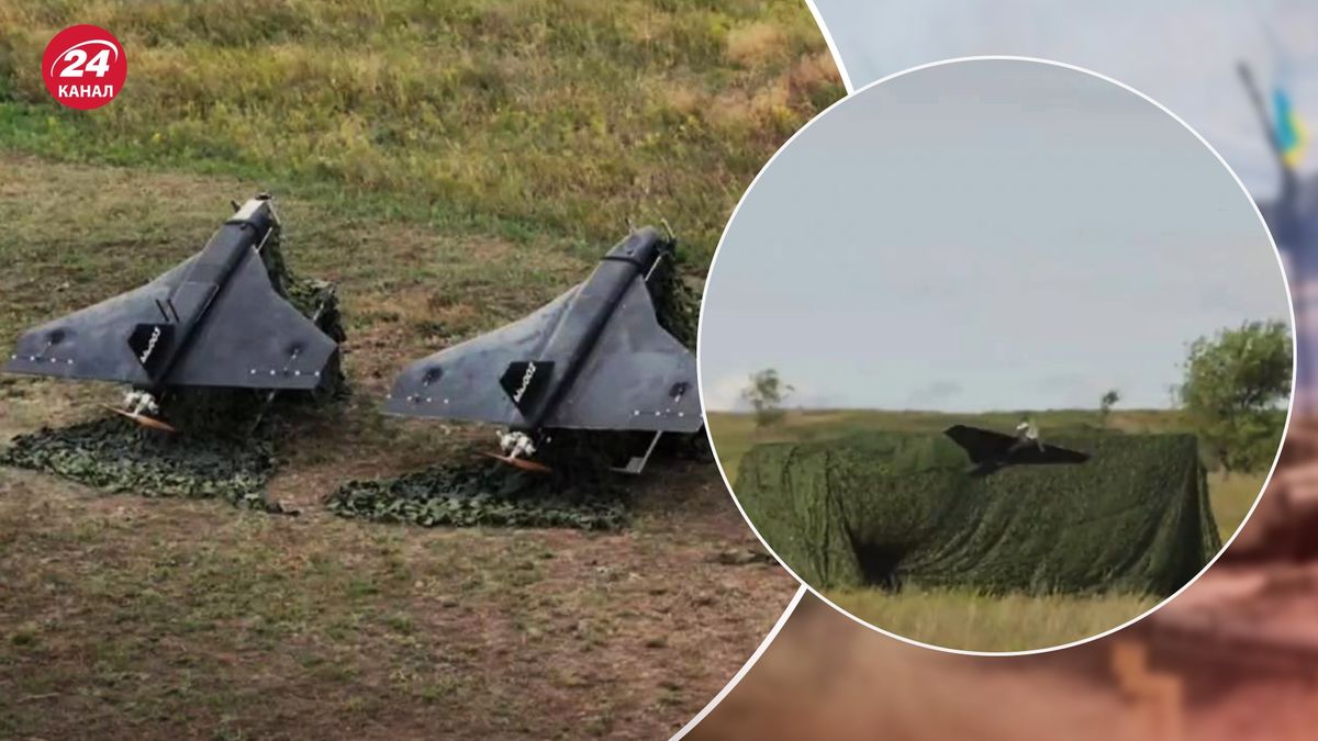 БПЛА Гербера - что известно о новом дроне оккупантов - 24 Канал