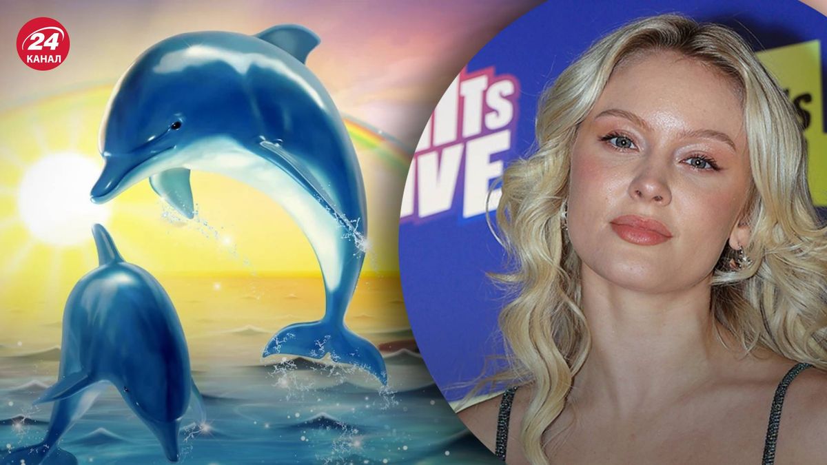 Мем з дельфінами - пісня Symphony Zara Larson & Clean Bandit знову ...