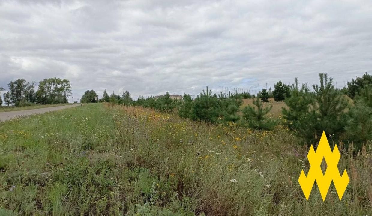 Атеш виявив важливий російський об'єкт у Мордовії - що відомо про РЛС ...